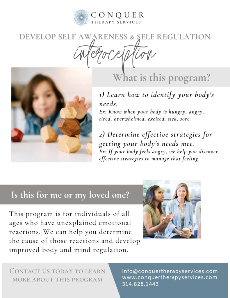 Self Regulation Conquer Therapy Services